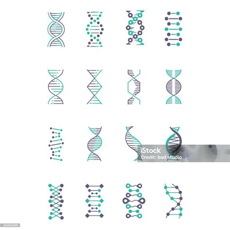 Dna 나선 보라색과 청록색 색상 아이콘 세트 데옥시리보핵 핵산 구조 나선형 가닥 염색체 분자 생물학 유전 코드 게놈 유전학