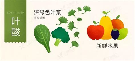 专治各种维生素缺乏症 一张图教你补回维生素 维生素大全