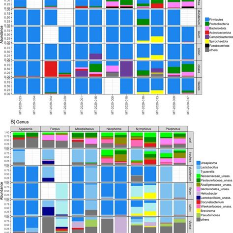 Relative Abundance Of Dominating Bacterial A Phyla And B Genera