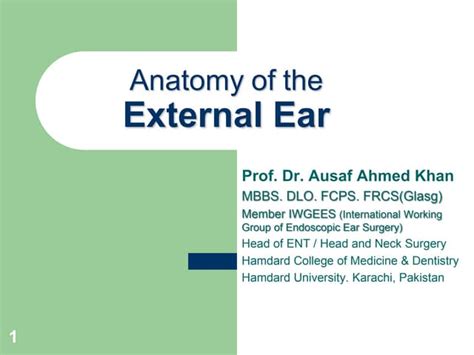 Anatomy Of External Ear Ppt