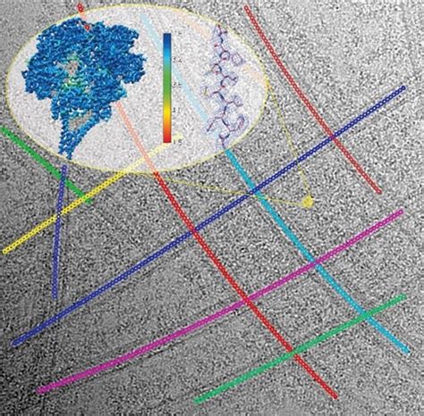 A Cryo EM Method For Near Atomic Structures In The Intricate Networks