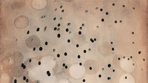 Alfred Ehrhardt Stiftung Thomas Brummett Seeking The Infinite • Pib