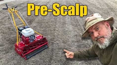 Spring Lawn Scalping Youtube