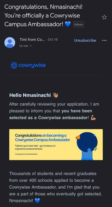Nmasinachi Ugwoke On Linkedin Cowrywise Financialliteracy