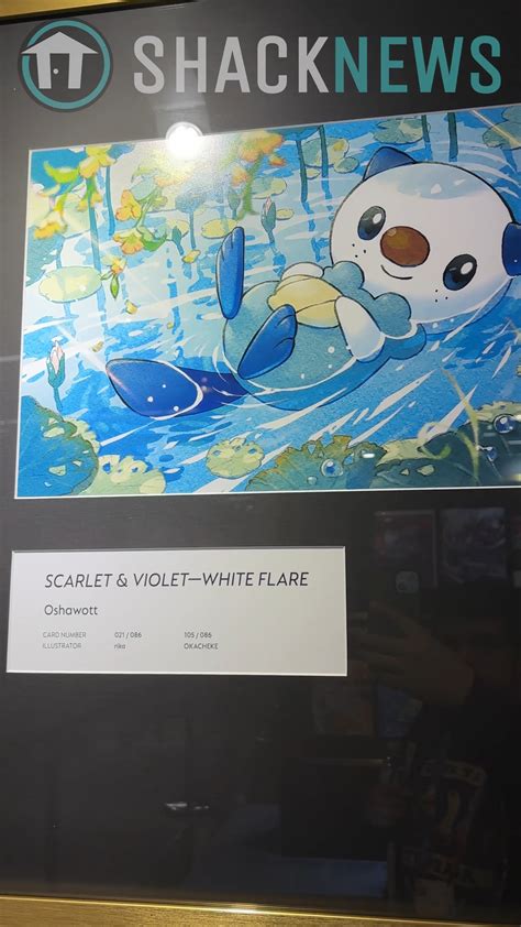 Giovanni Cischke Wins Pokémon Vgc Masters Finals At Worlds 2025