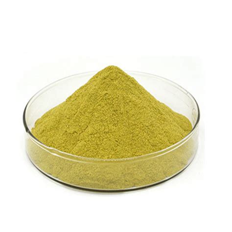 Water Soluble Scutellaria Baicalensis Extract Herbal Plant Extract For