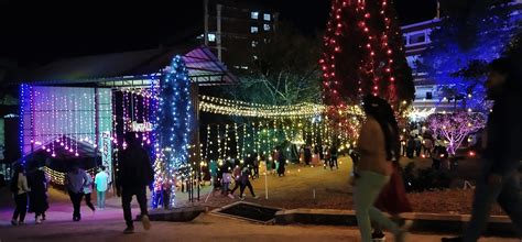 Marian College Kuttikkanam Autonomous Gallery