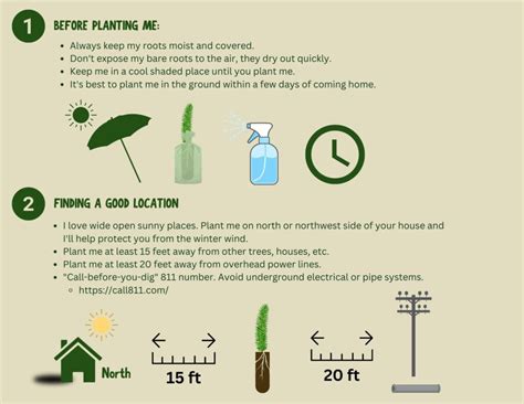 Tree Planting Instructions Neighborhood Forest Tree Planting Instructions Neighborhood Forest