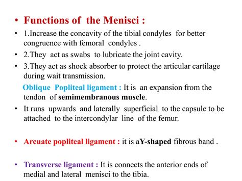 Knee Joint Power Point Presentation Pptx
