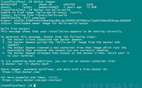 Docker与微服务实战二2023最新docker实战微服务打包docker容器 Csdn博客