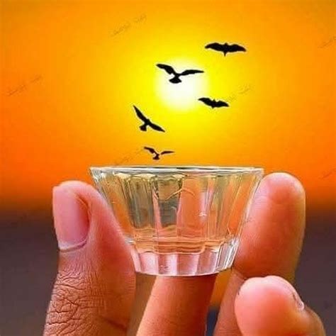 Mohammad Zohaib Youtube