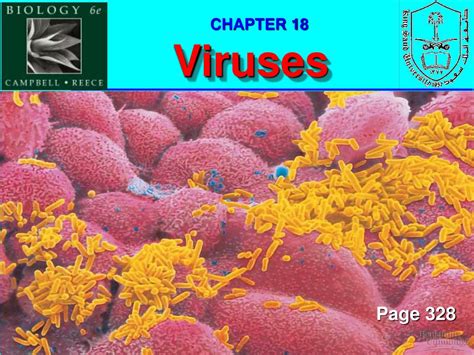 Ppt Viruses Powerpoint Presentation Free Download Id 2400086