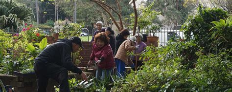 Sowing Seeds Of Hope Botanic Gardens Of Sydney