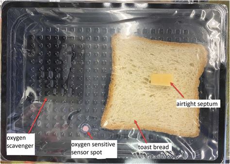Aspergillus Mold On Bread