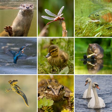 Imogen Marr On Linkedin My Oldest Friend Works So Hard For This Amazing Charity Looking Out For…