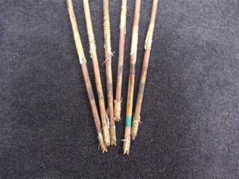 6 Apache Arrows