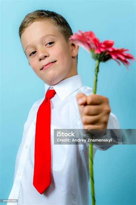 배낭이 달린 흰 셔츠를 입은 1 학년 학생이 손에 꽃다발을 들고 있습니다 6 7 살에 대한 스톡 사진 및 기타 이미지 6 7 살 9월 고등학교 이하 Istock