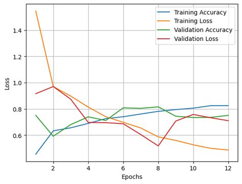 Accuracy And Loss Metrics Transfer Learning With No Data Augmentation