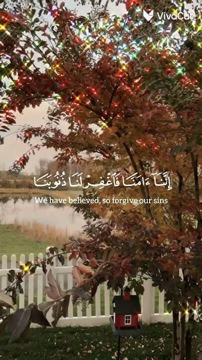 راح قلبك بلقران 🌿 Youtube