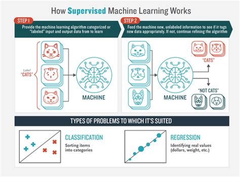 machine learning flashcards quizlet