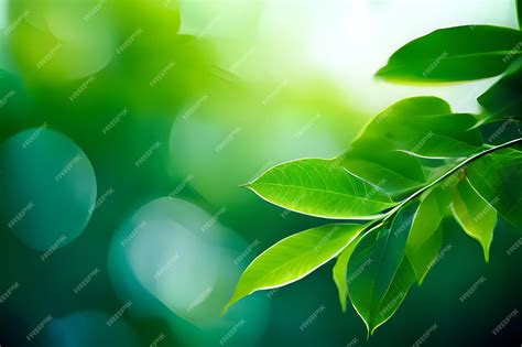 Premium Photo Abstract Green Nature Blur Background