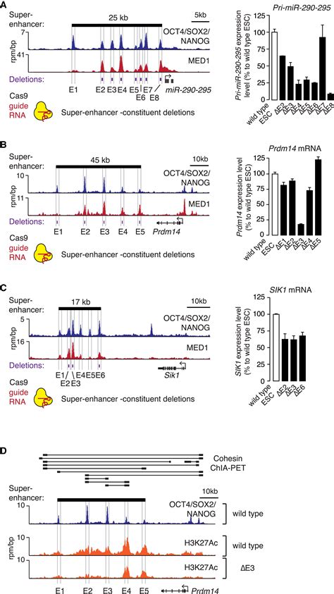 Convergence Of Developmental And Oncogenic Signaling Pathways At