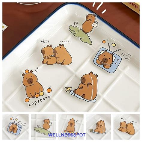 Wellnessspot อะคริลิค Capybara Pin Breastpin น่ารัก Capybara เข็มกลัด