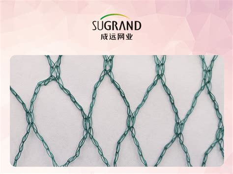 Bird Mist Nets For Catching Birds