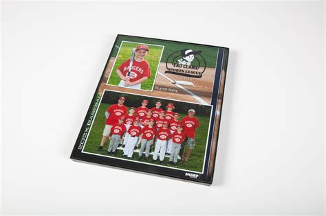 Memory Mate Sharp Photo Sports