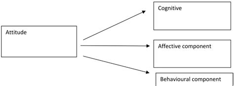 Conceptual Frameworks Theoretical And Conceptual Frameworks