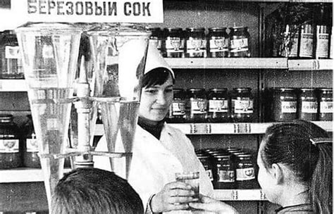 Настоящая экзотика зачем в СССР массово употребляли березовый сок