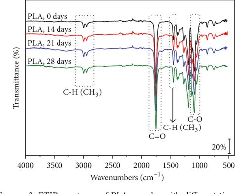 Figure 1 From Biocompatibility Assessment Of Polylactic Acid Films After Sterilization With