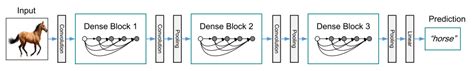 C Densenet Backbone En Deep Learning Bible Object Detection Eng