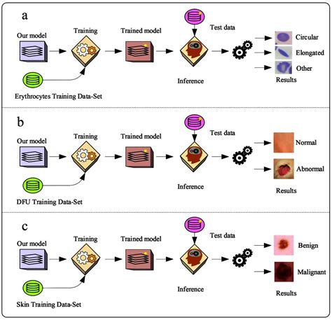 Deepening Into The Suitability Of Using Pre Trained Models Of Imagenet