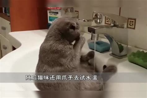 主人发现水费越来越高暗中观察后终于知道了其中真相 水费 真相 主人
