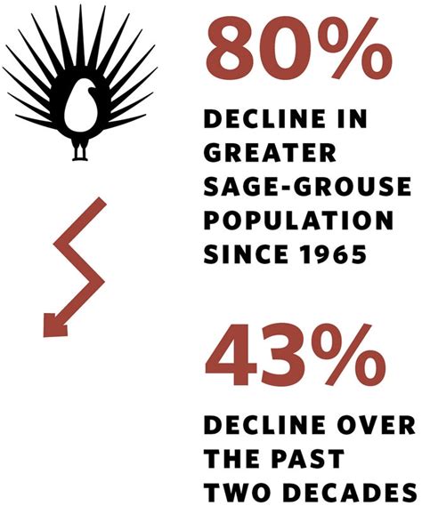 The Window For Saving The Sagebrush Ecosystem Is Rapidly Closing Audubon