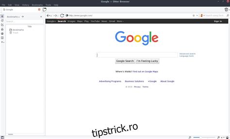 Cum Se Instaleaz Otter Browser Pe Linux