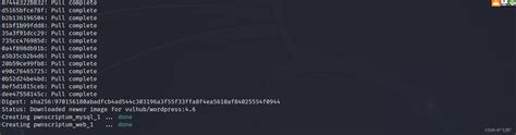 Wordpress Pwnscriptum复现（超详细呀） Csdn博客