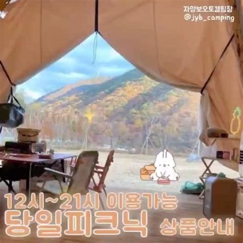 자양보오토캠핑장 산청캠핑 산청캠핑장 경남오토캠핑장 감성캠핑 깨끗한 시설 친절함까지 사계절 캠핑하기 좋은곳🏕️ 산청 자양보오토캠핑장 소개 🙌 인스타and네이버리뷰