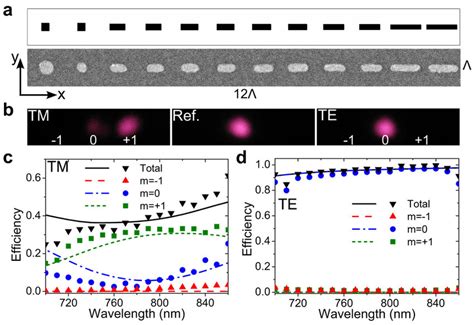 Experimental Verification Of Independent Control Of TM And TE Waves Download Scientific Diagram
