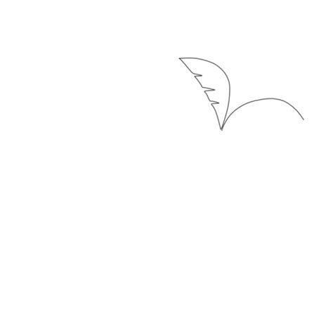 손그림 일러스트 강좌 팜트리 야자수 코코넛나무 일러스트 그리기 네이버 블로그