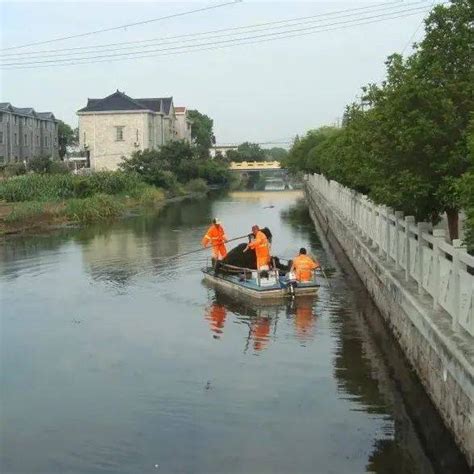 当一日“小河长”，守护身边的河道川沙新镇活动实践