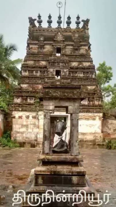 🙏🏻🙏🏻🙏🏻கோவிலில் தரப்படும் விபூதியை எப்படி எவ்வாறு வைக்க வேண்டும் Om