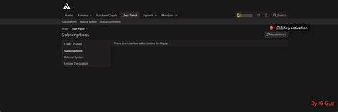 Nixware注入教程 文档演示