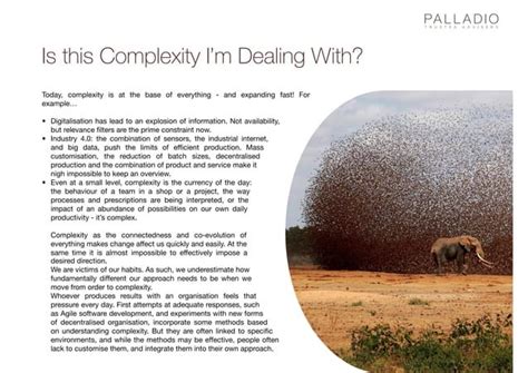 Navigating Complexity Overview Ppt