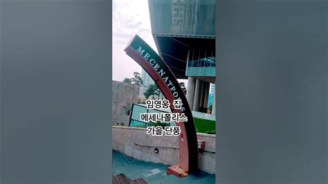 임영웅 집 메세나폴리스 가을 단풍 Shorts Youtube