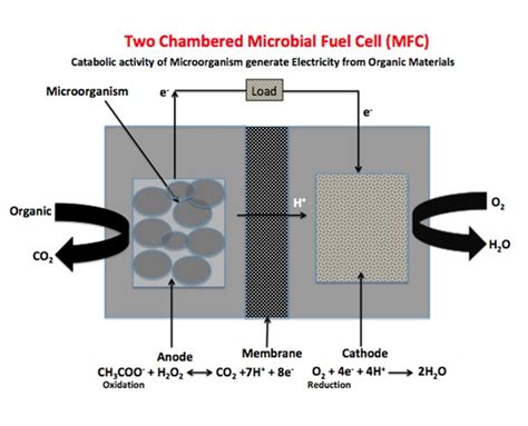 Microbial Fuel Cell And Electrolyzer Aviral Power