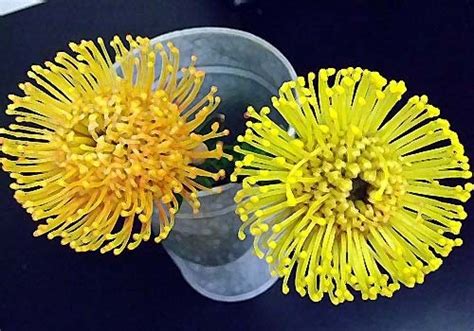 Pin Flowers Spring Diy Wedding Table Decorations Diy Pin Cushions