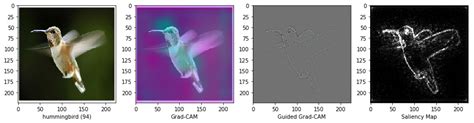 Visualizing Decisions Of Convolutional Neural Networks — Mxnet