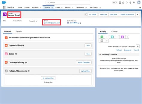 wordpress to salesforce the gravity forms salesforce add on